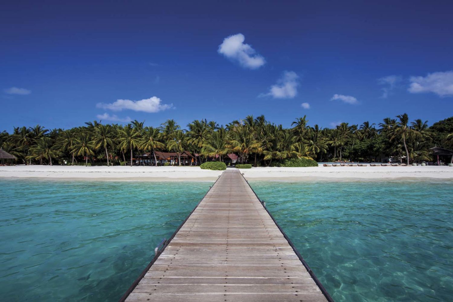 Ocean Road Magazine